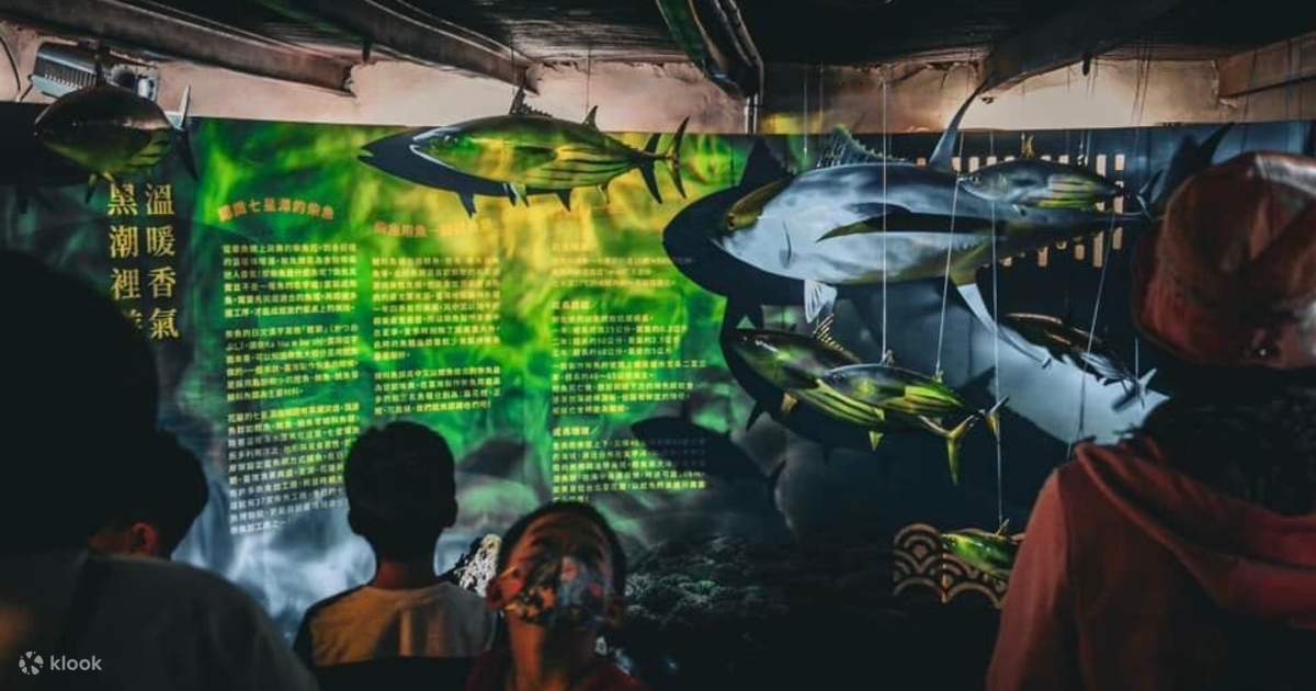 Hualien Seven-Star Bonbon Fish Museum - Klook