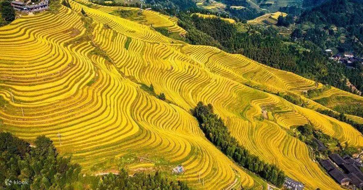 Private 1-day tour from Guilin to Longji Rice Terraces, Ping'an Zhuang ...