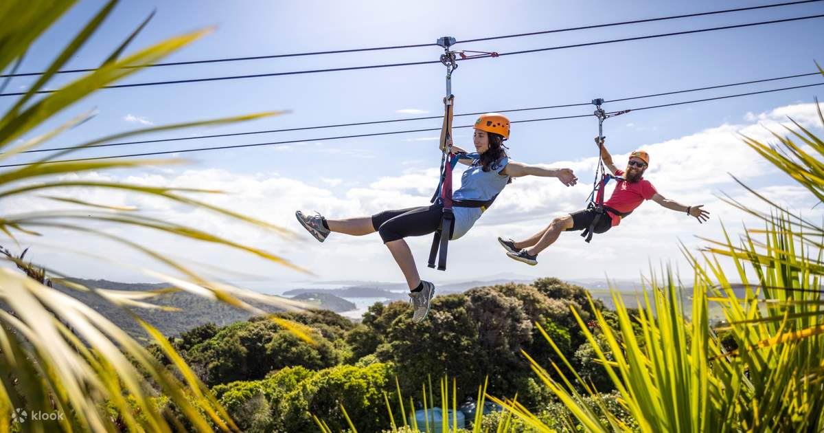 Tour Zipline Đảo Waiheke và Rừng từ Auckland - Klook Việt Nam
