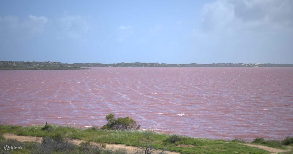 Excursion de 2 jours à Hutt Lagoon avec guide chinois et séance photo ...
