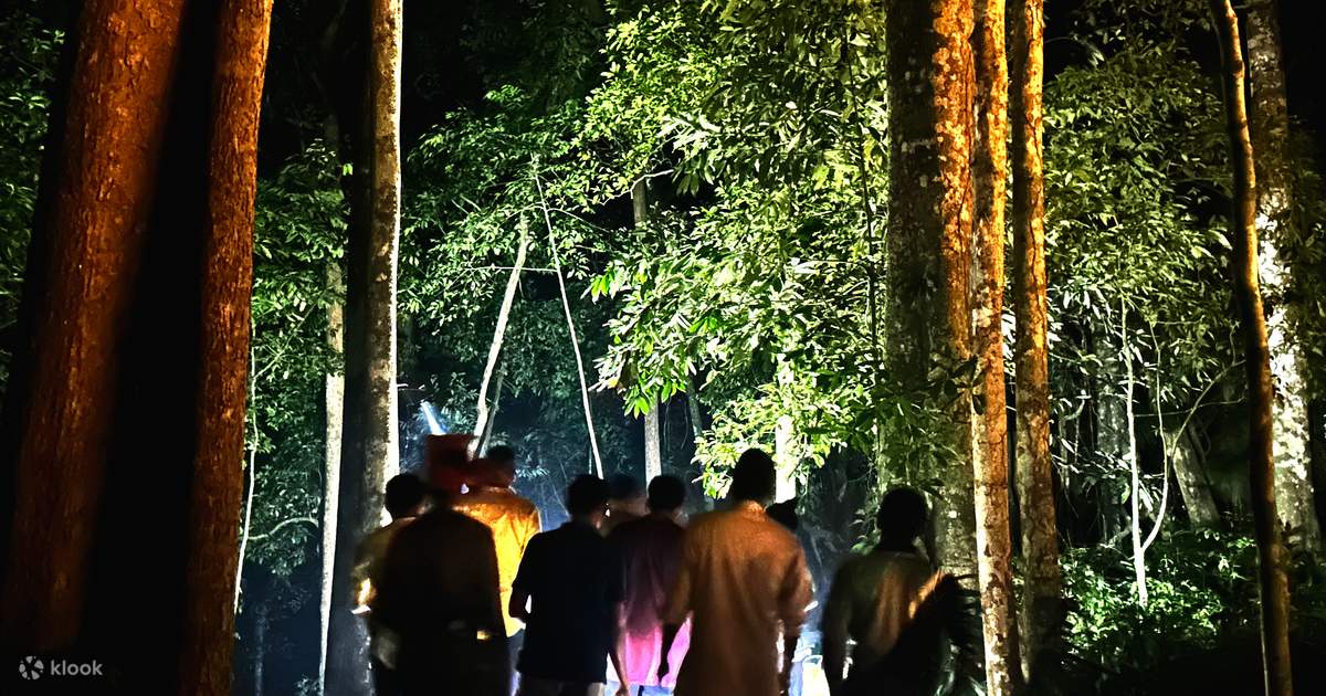 Dream Forest Langkawi Ticket - Klook United States