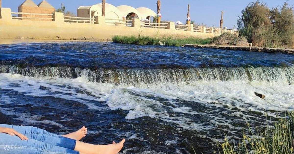 Fayoum Oasis Full day tour - Klook, Vereinigte Staaten