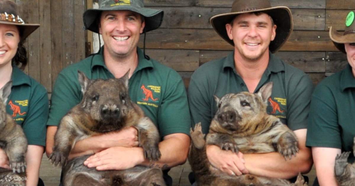Caversham Wildlife Park Experience in Whiteman - Klook Australia