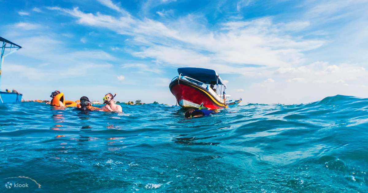 Turtle Island, Glass Bottom Boat and Mangrove Cruise by JTB Indonesia ...