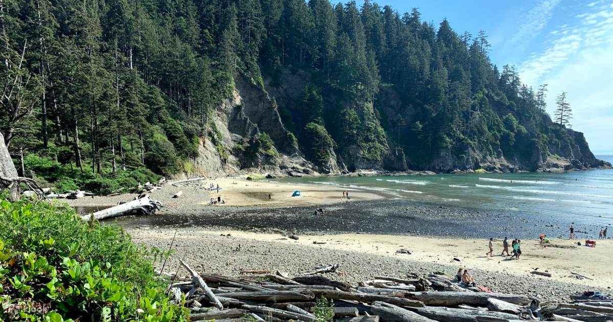 Oregon Coast Day Tour from Portland: Cannon Beach and Haystack Rock ...