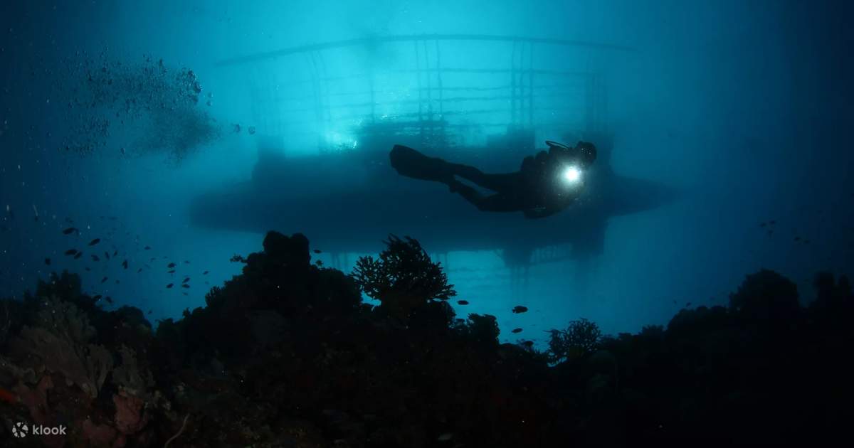 Entdecken Sie Mindoro mit einem 4-Tages-Tauchpaket in unserem PADI 5 ...