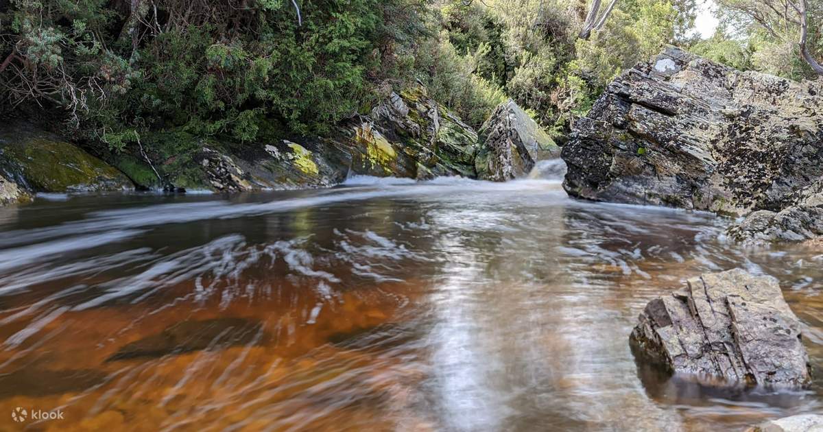 5D4N Western Wilds Tasmania Tour from Hobart - Klook