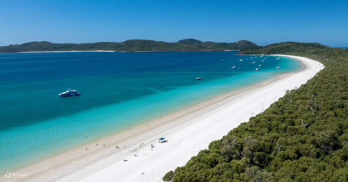 Wisata Sehari Berpemandu SeaLink Whitsundays Whitehaven Beach Big ...
