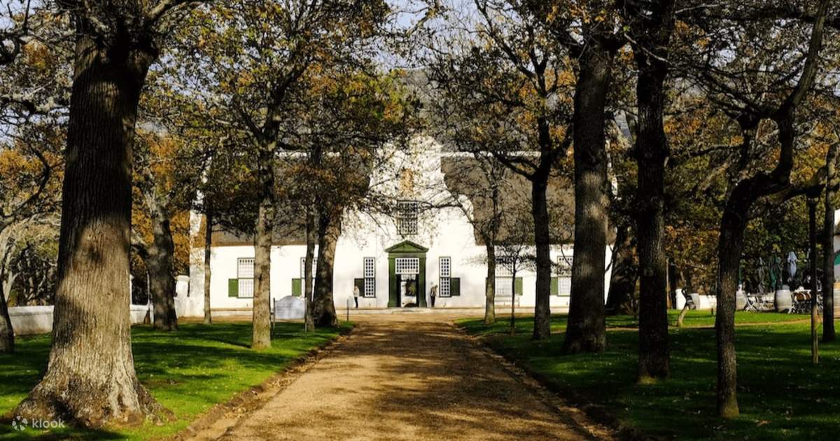 Join In Wine Tasting Experience in Groot Constantia Wine Estate, Cape ...