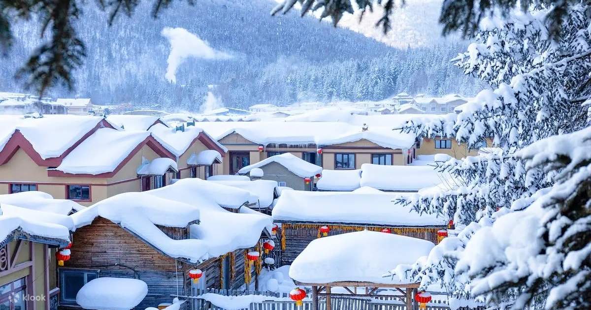 Tur 1 Hari Berpemandu Pribadi di Harbin China Snow Town (Pulang Pergi ...