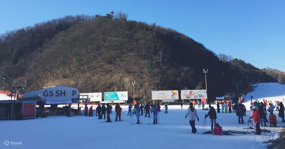 Gangwon-Do Nami Island and Elysian Gangchon Ski Resort Day Tour - Klook