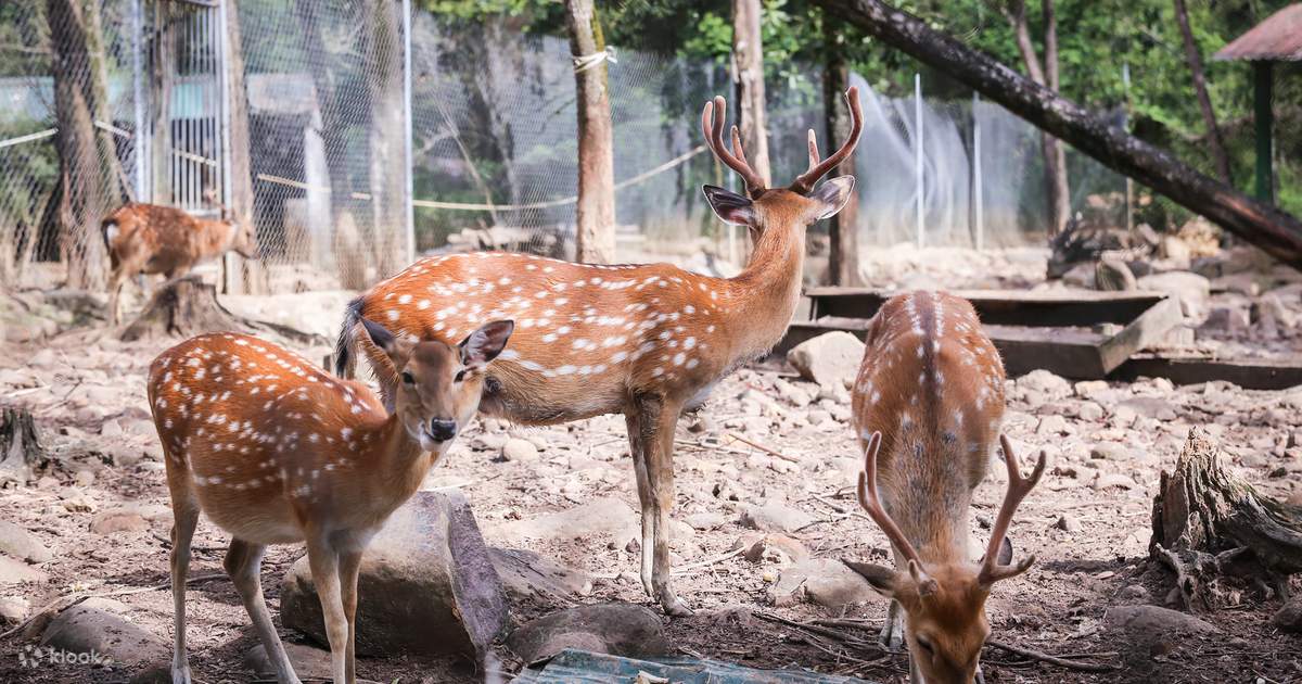 Alba Thanh Tan Hot Springs Ticket in Hue City - Klook United States