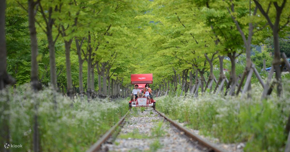 Gangchon Rail Bike Experience, Seoul - Klook