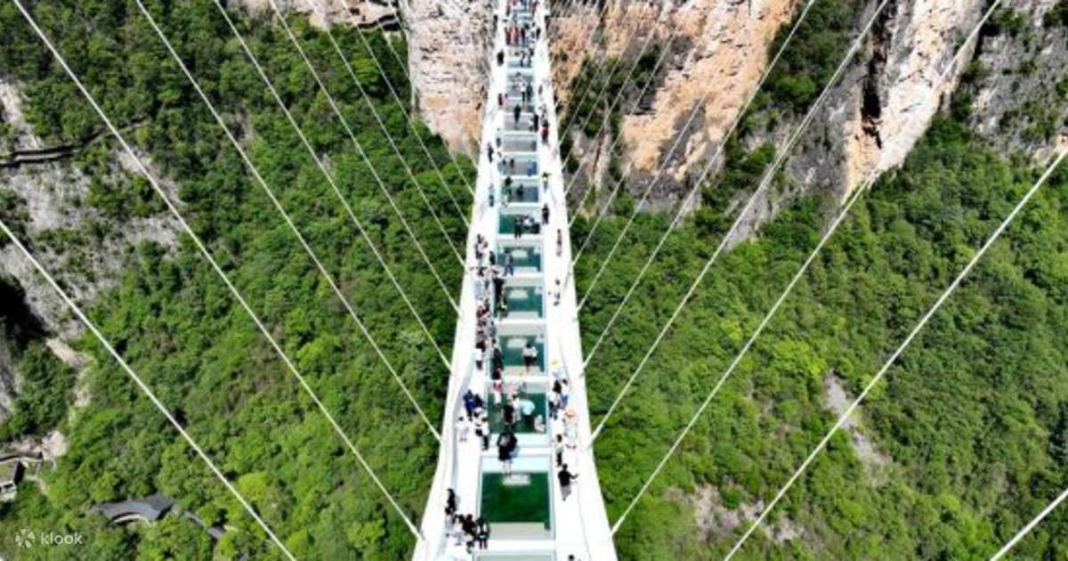 Zhangjiajie VIP Private Group One-Day Tour (VIP No Queuing + Grand ...