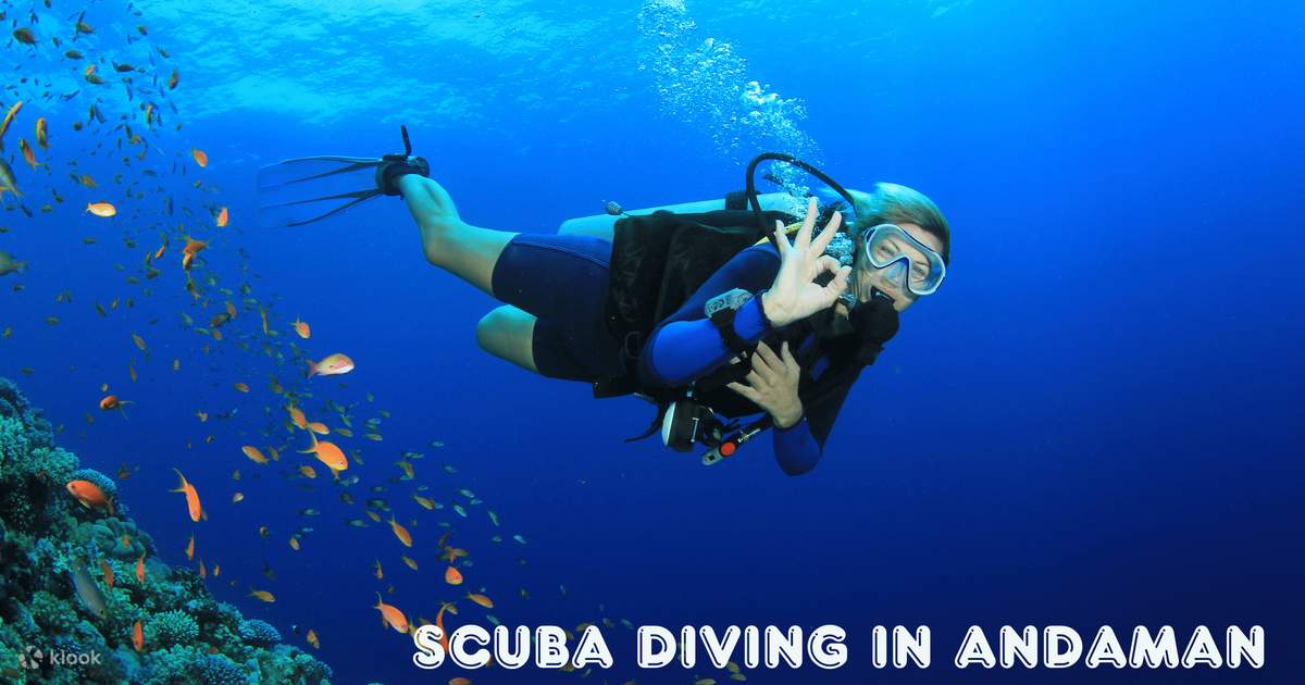 Scuba Diving in Andaman Shore Dive - Klook Estados Unidos