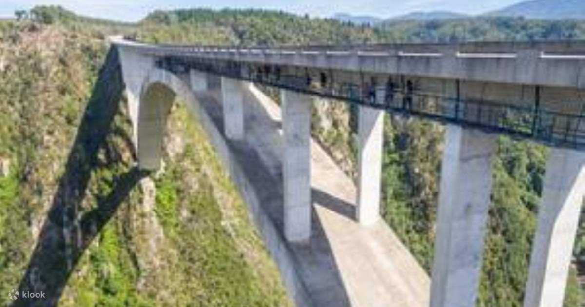 Bloukrans Bridge Medio día Caminando & Museo Tour - Klook Estados Unidos