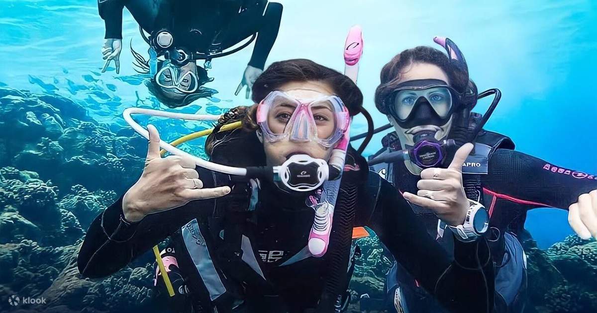 Enjoy an Exciting Scuba Diving Tour with BBQ Lunch & Roundtrip Transfer ...