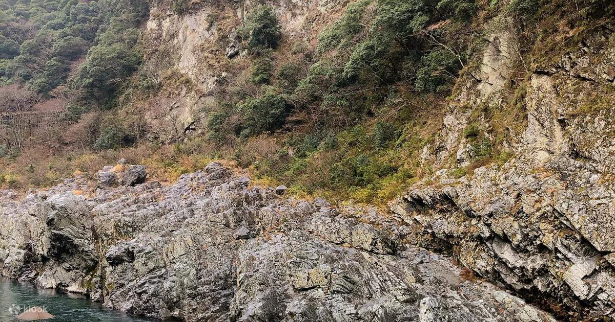 Iyakeio Bridge & Naruto Whirlpool One-day River & Nature Tour - Klook India