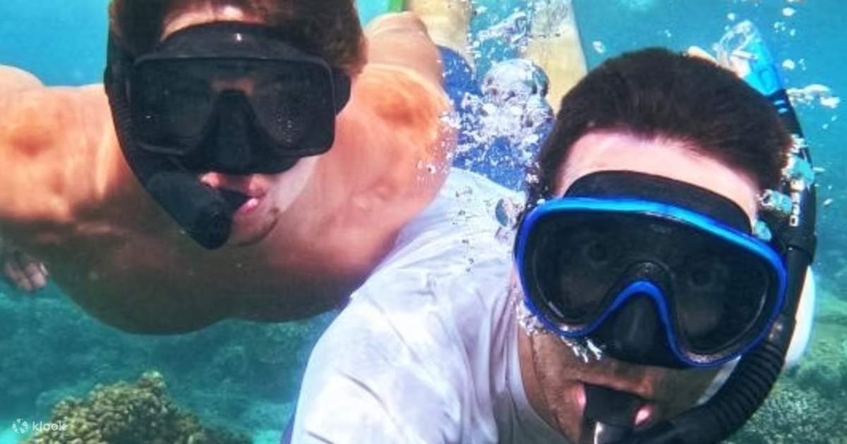 Ride and Slide Morning Tour in Fiji - Klook Estados Unidos