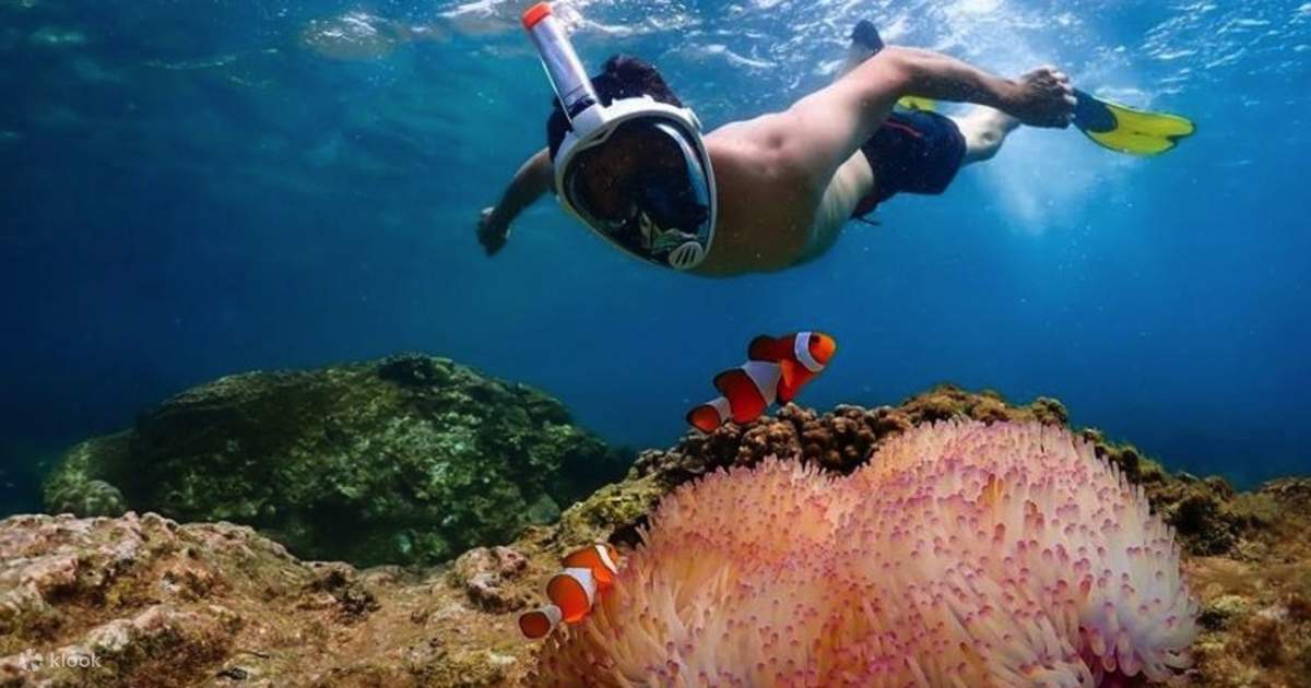 Bergabunglah Dari Pattaya: Pengalaman Pulau Nemo Dengan Foto Drone Dan ...