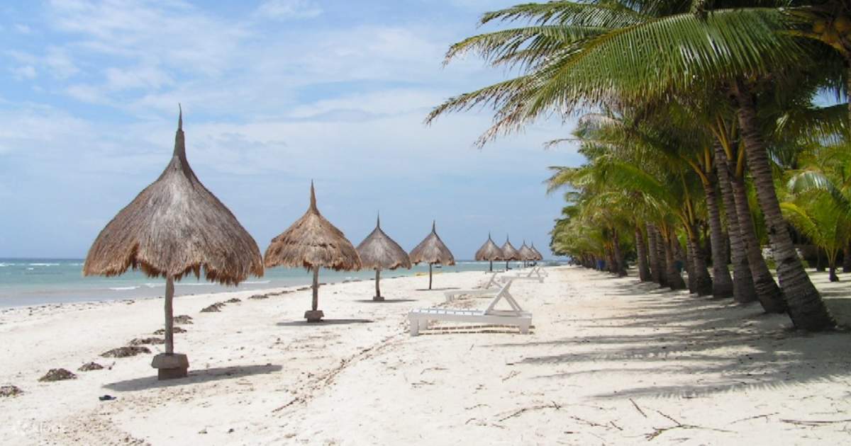 Panglao Island Land Tour with Bohol Bee Farm Lunch - Klook Australia