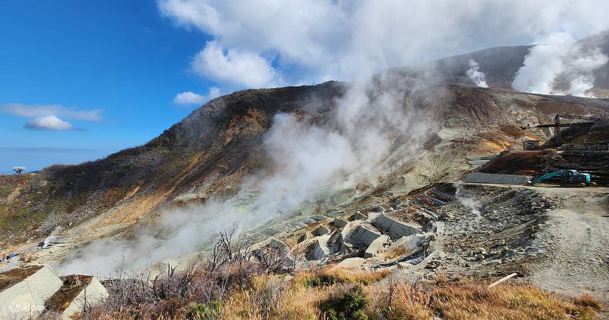 Hakone Private, anpassbare Tagestour mit dem Auto ab Tokio - Klook ...