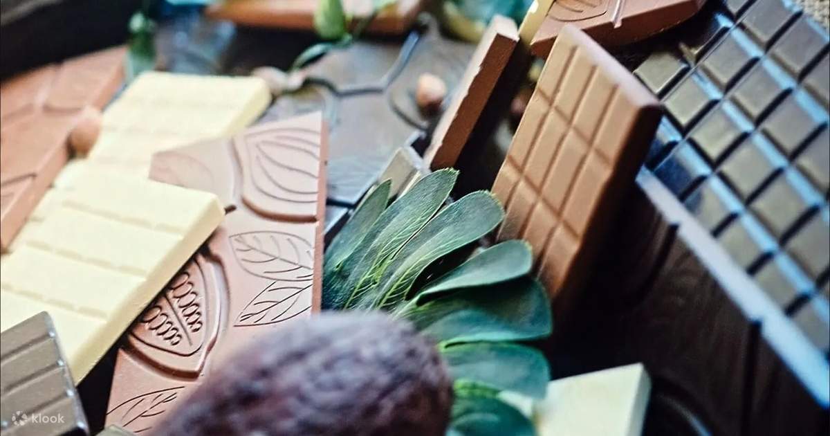 Edinburgh The Chocolatarium Half-Day Small Group Tour - Klook New Zealand