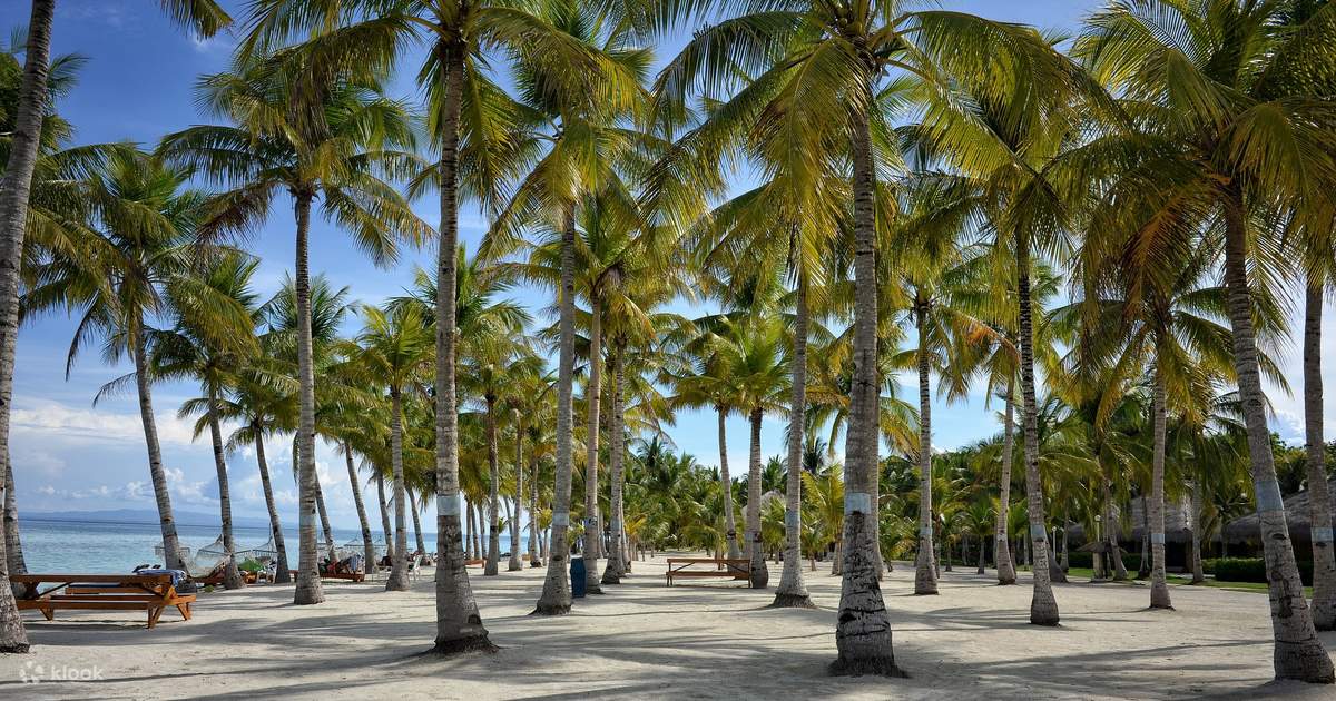 Panglao Island Land Tour with Bohol Bee Farm Lunch - Klook Philippines