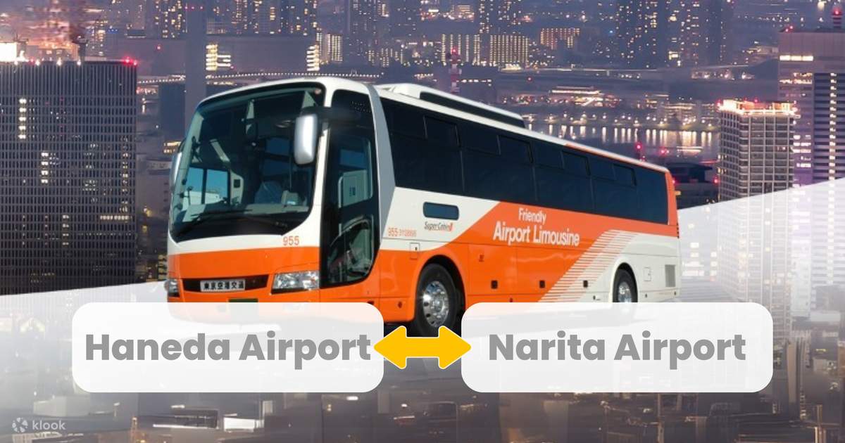 Limousine Bus between Haneda Airport and Narita Airport - Klook United ...