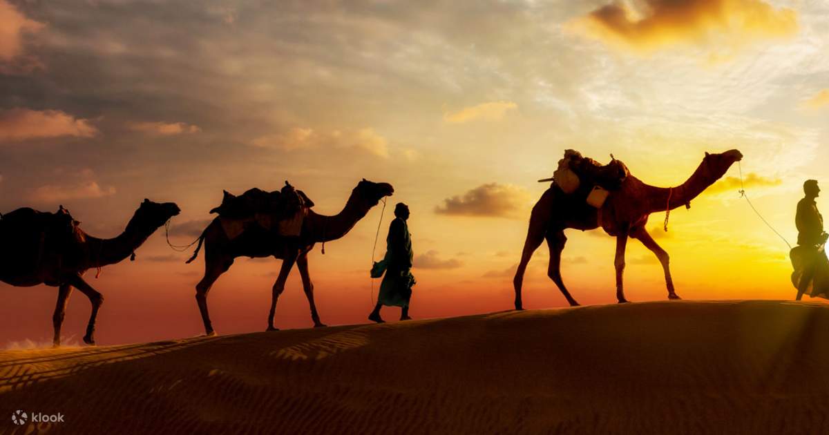 Trekking Unta Matahari Terbenam Dubai - Klook Indonesia