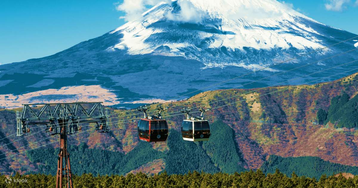 Hakone & Fuji Cruise & Cable Car & Owakudani Day Tour from Tokyo - Klook