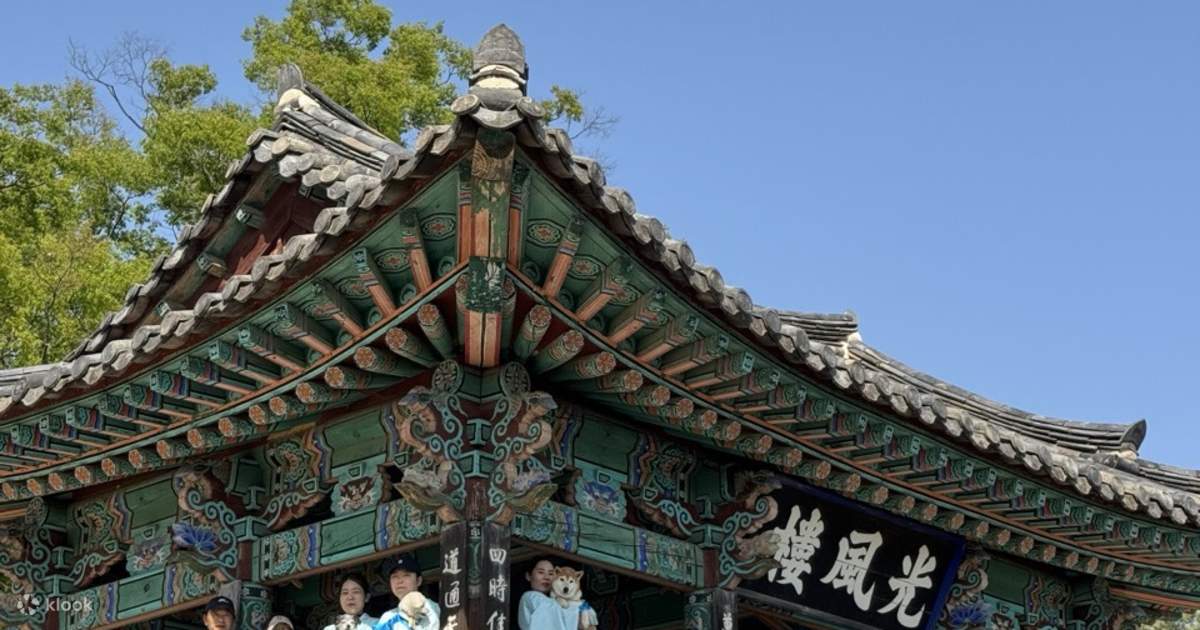 Uiseong-gun One-day Small Group & Cultural Tour - Klook Stati Uniti