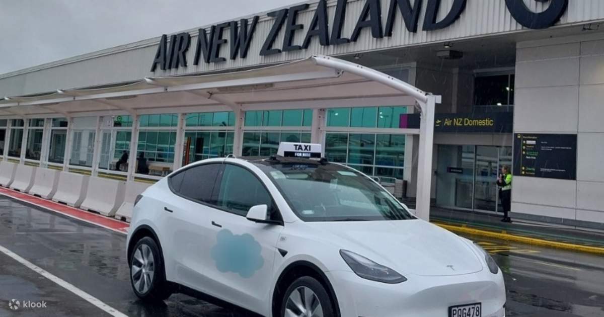 Tesla Taxi Tours - Klook États-Unis