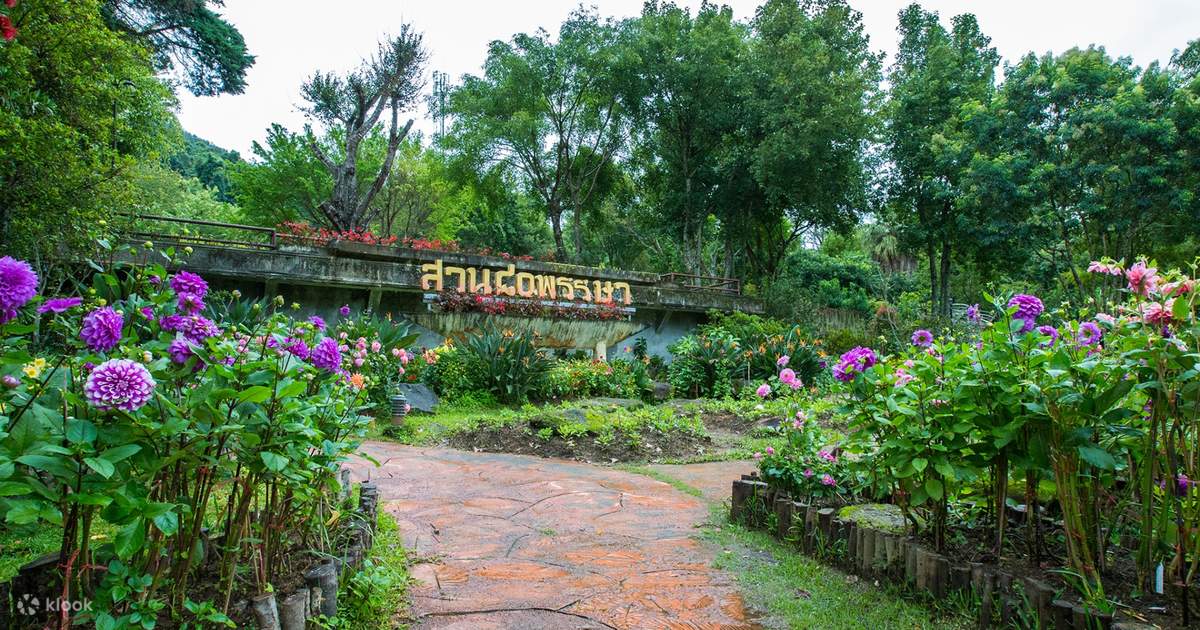 Doi Inthanon National Park - Klook