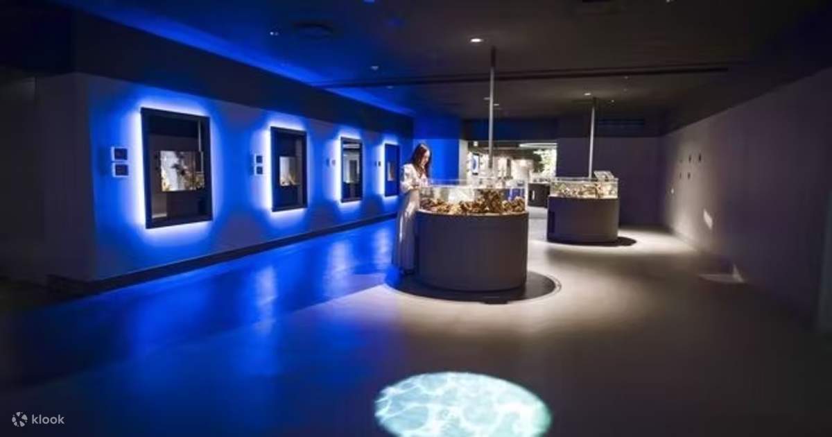 Ingresso allo Smart Aquarium Shizuoka - Klook Stati Uniti