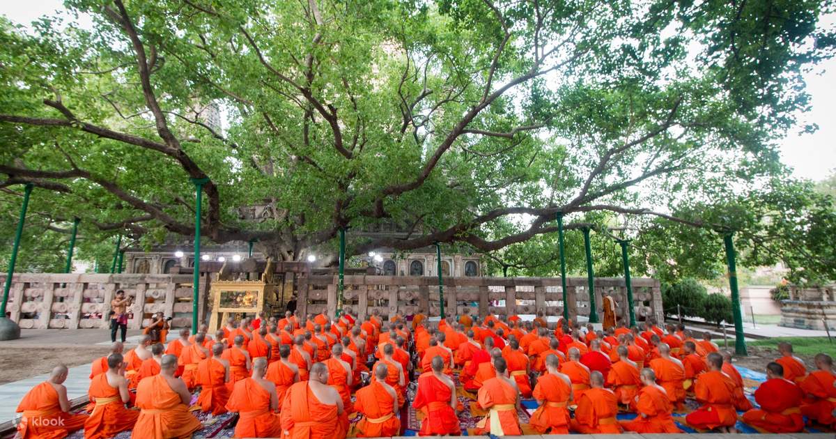 14 Days Complete Buddhist Tour in India with Nepal - Klook