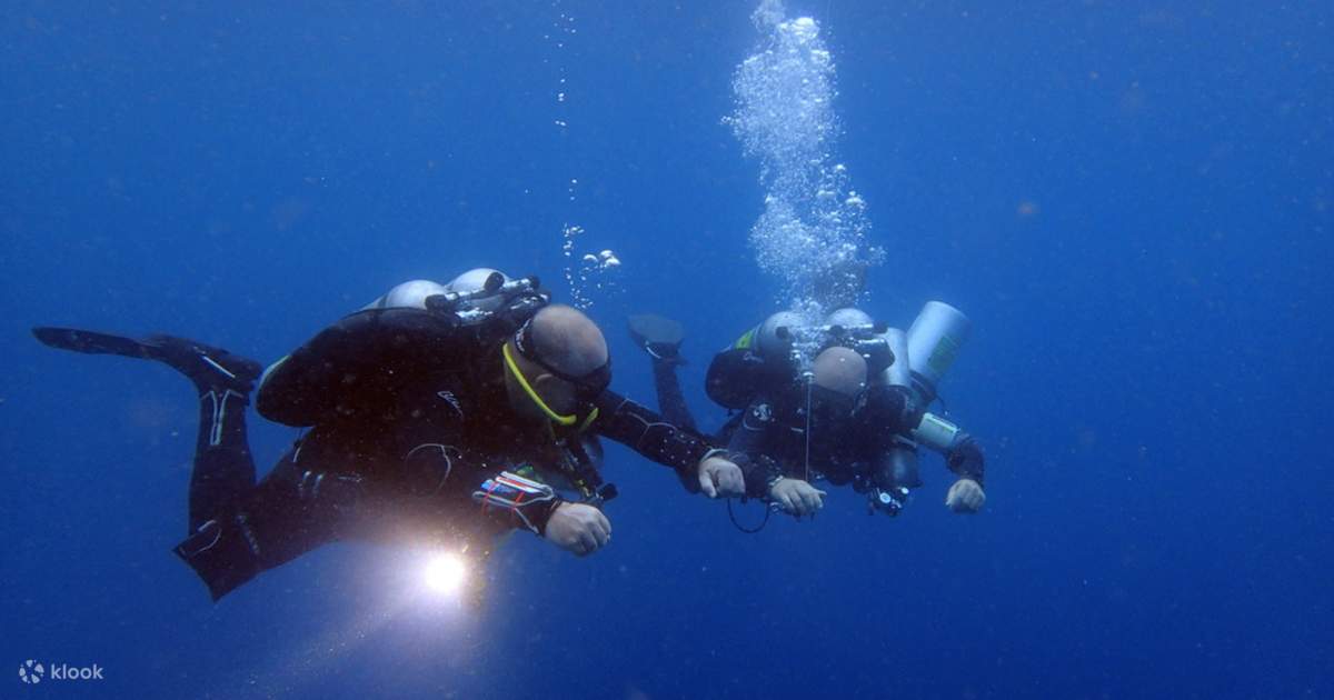 Elevate Your Dive: Enriched Air Diver (Nitrox) in Moalboal with PADI 5 ...