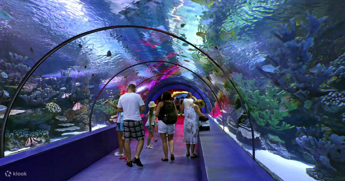 安塔利亚水族馆和蜡像馆门票 - Klook客路