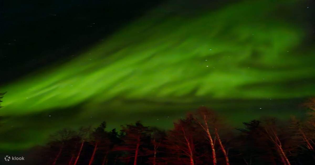 Norvajärvi & Aurora Hunting Olkkajärvi Half-day Northern Lights Tour ...