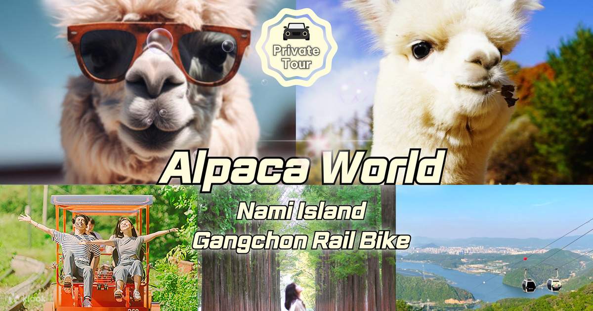 Alpaca World, Nami Island & The Garden of Morning Calm Private Tour ...