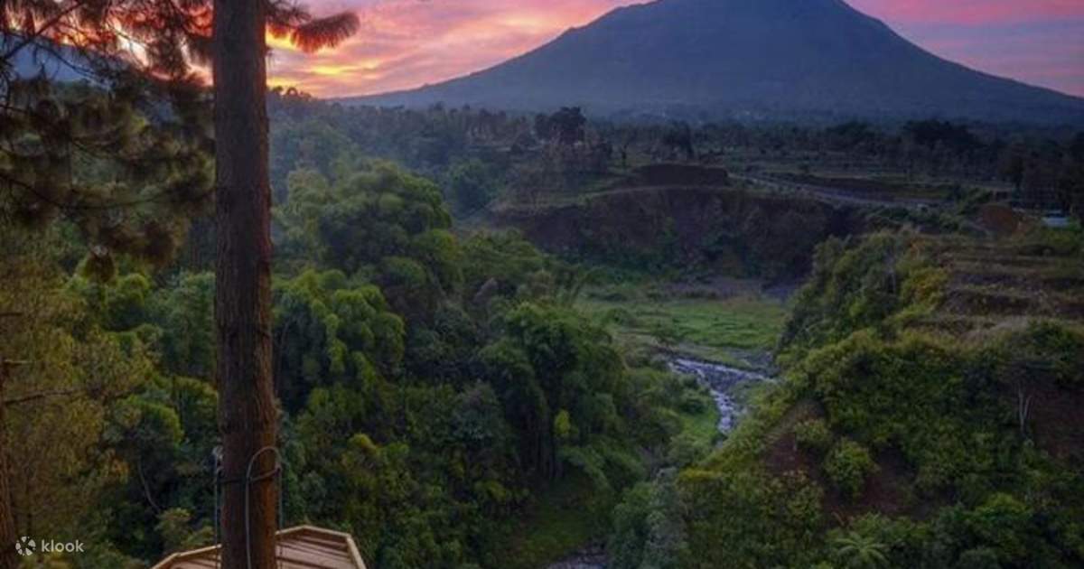 Instagramable Kedung Kayang Waterfall and Borobudur Temple Tour - Klook 客路