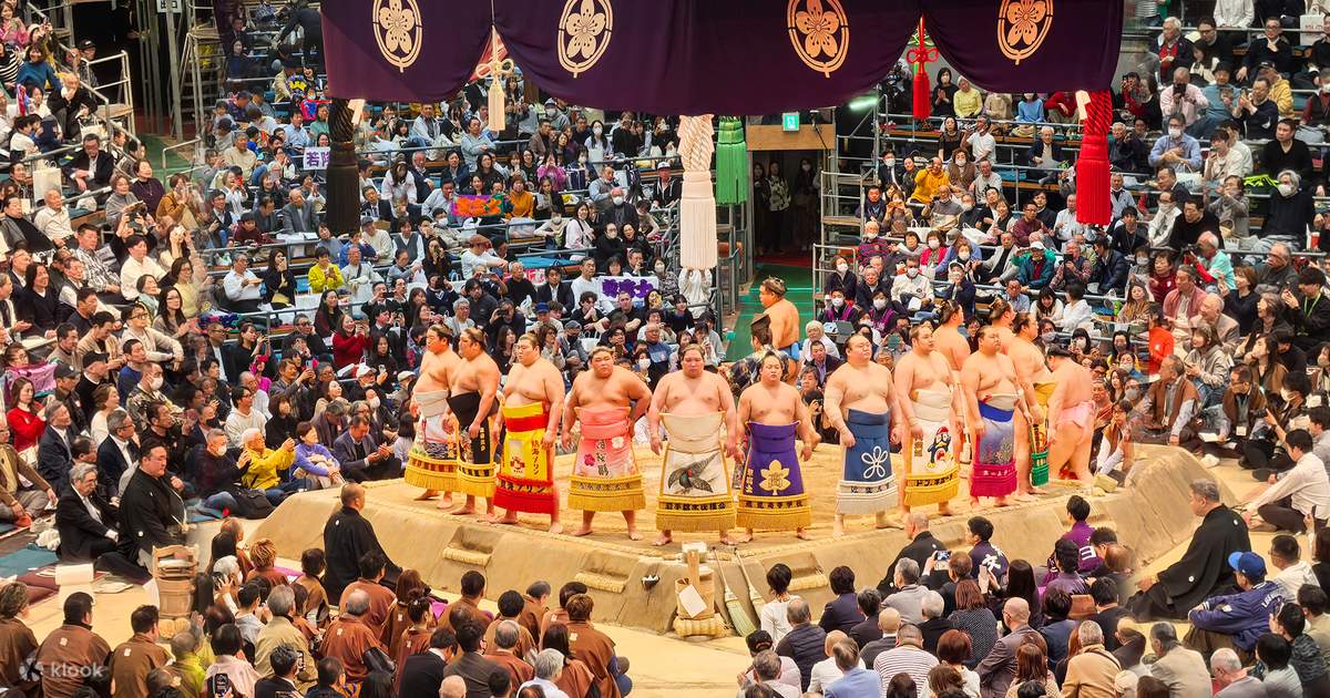 Expérience de spectateur du Grand Tournoi de Sumo d'Osaka (avec ...