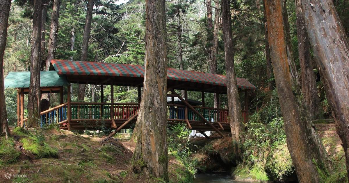 Medellín Parque Arvi Únase al recorrido a pie - Klook Estados Unidos