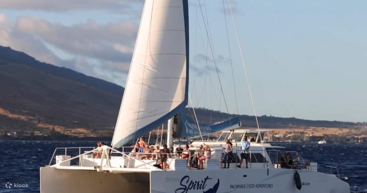 Whale Watching Sail in Maui - Klook Philippines