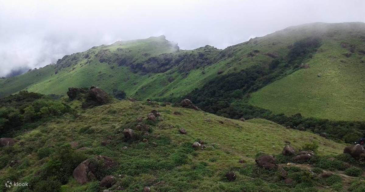 Trek To The Highest Peak Of Coorg - Tadiyandamol - Klook