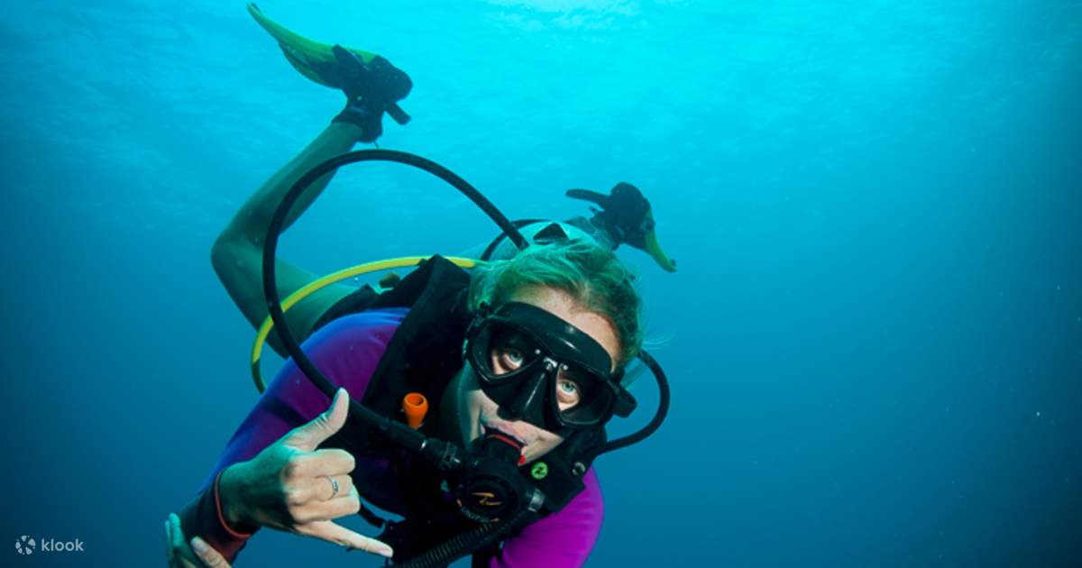 PADI Discover Scuba Diving in Negros with PADI 5 Star IDC Resort | Dive ...