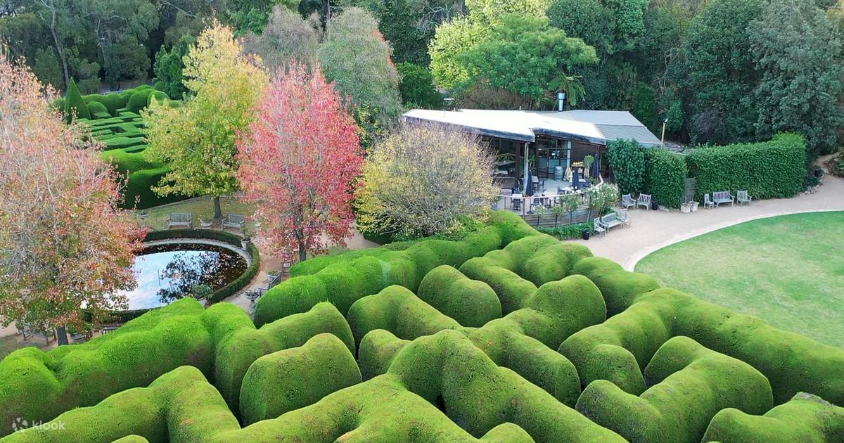 Ashcombe Maze & Lavender Gardens ticket - Klook Australia