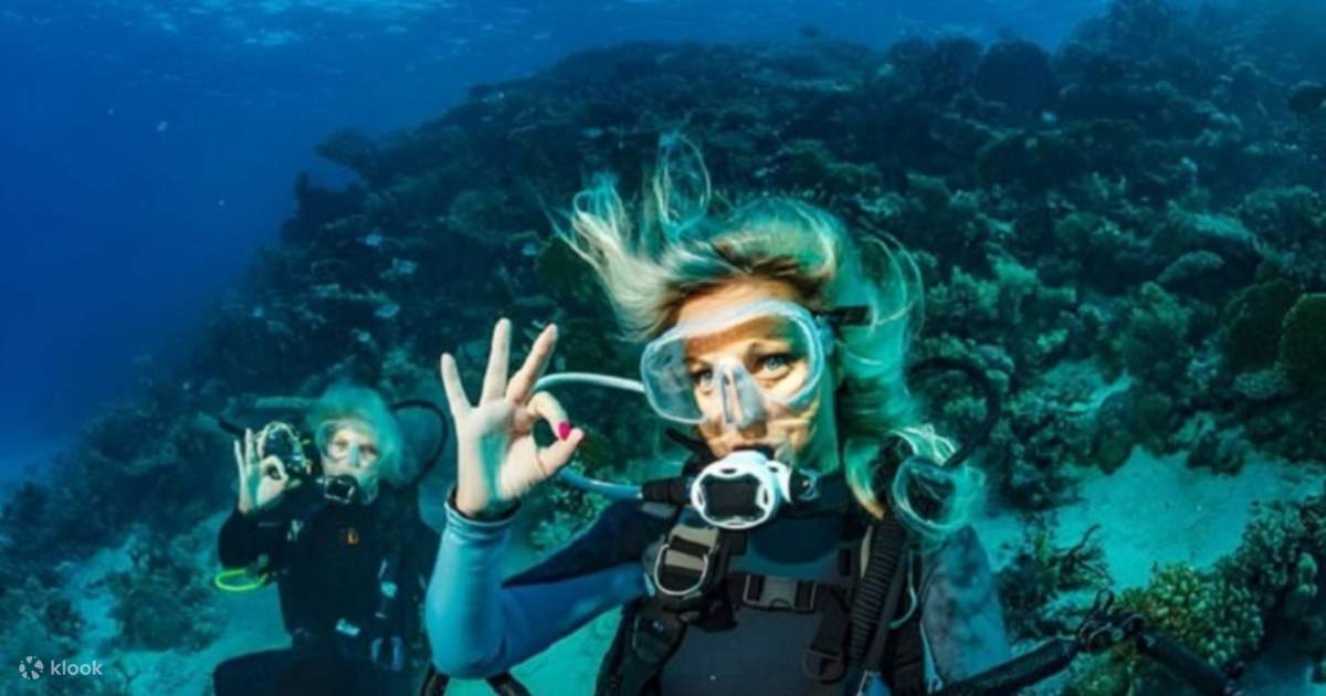 Scuba Diving Experience for Beginners & Lunch - Sharm El Sheikh - Klook ...