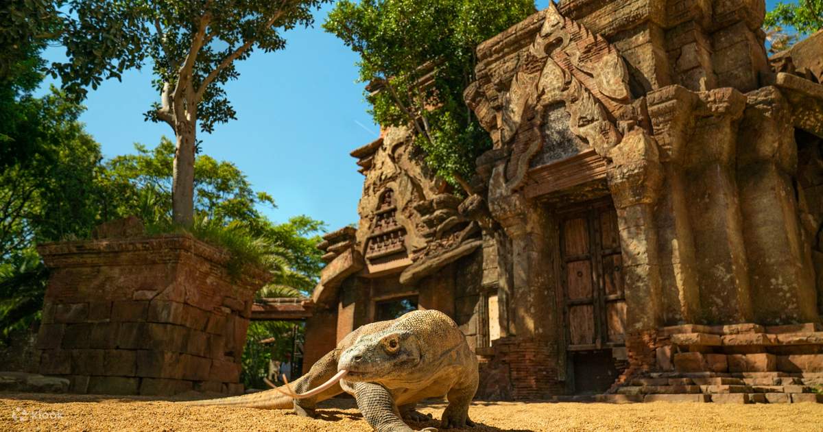 Bioparc Fuengirola Ticket in Málaga - Klook United States