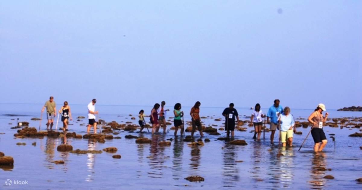 90 Minutes Beach and Tide Pool Walk in Desaru Walking Tour - Klook ...